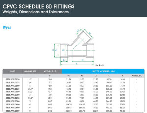HYDROPLAST PIPING SYSTEMS FZE | CPVC Schedule 80